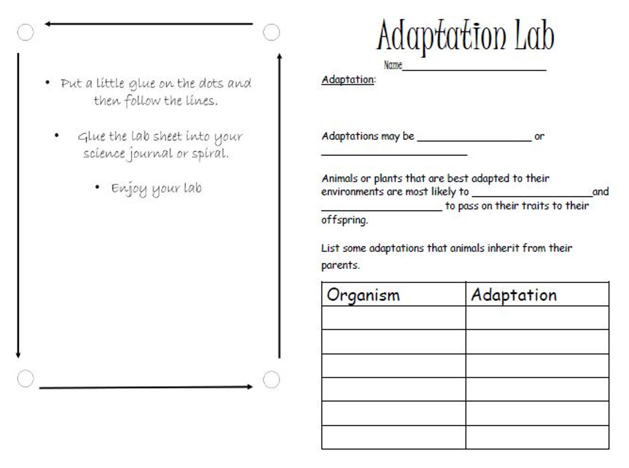 Adaptations Science Lab - Amped Up Learning