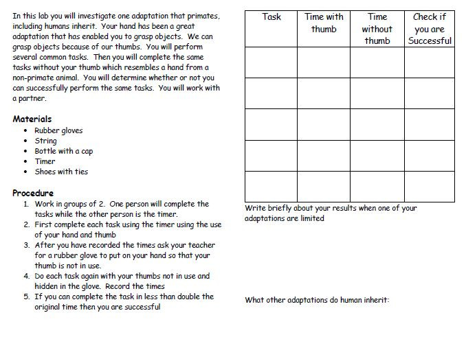 Adaptations Science Lab - Amped Up Learning