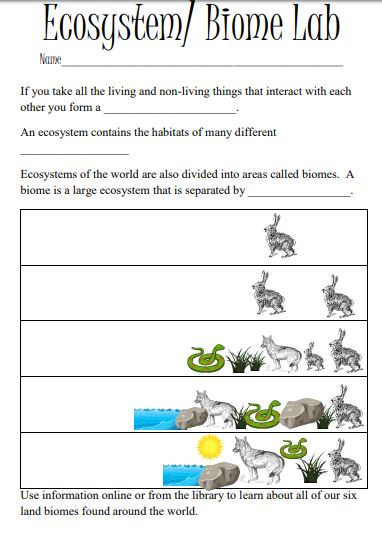 Ecosystems and Biomes Lab - Amped Up Learning