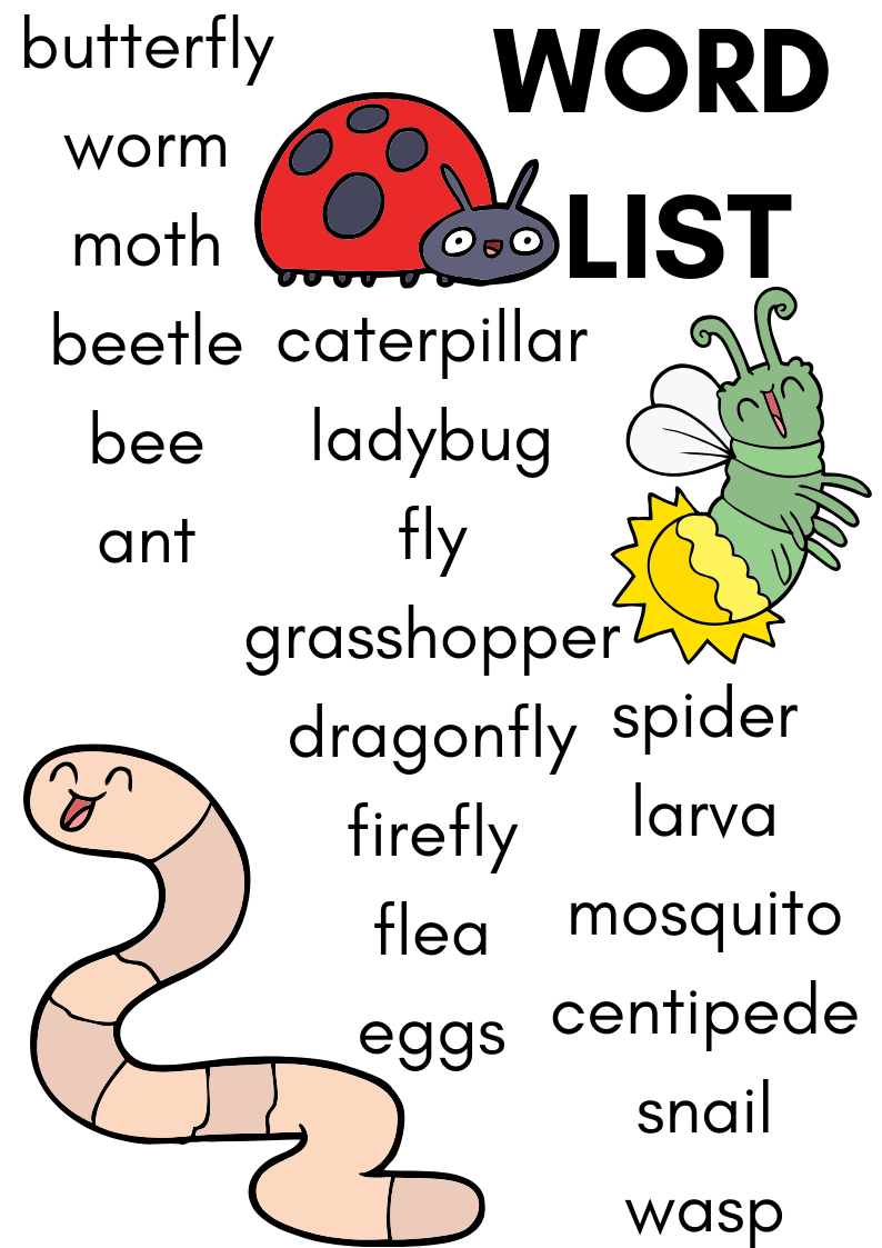 Flashcards: Insects - Amped Up Learning
