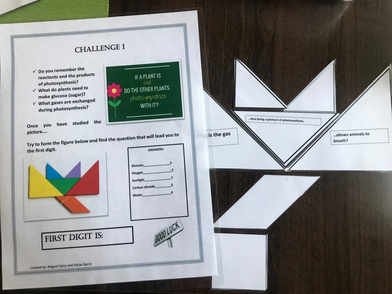 Biology EOC Review ESCAPE ROOM (Box 3) - Amped Up Learning