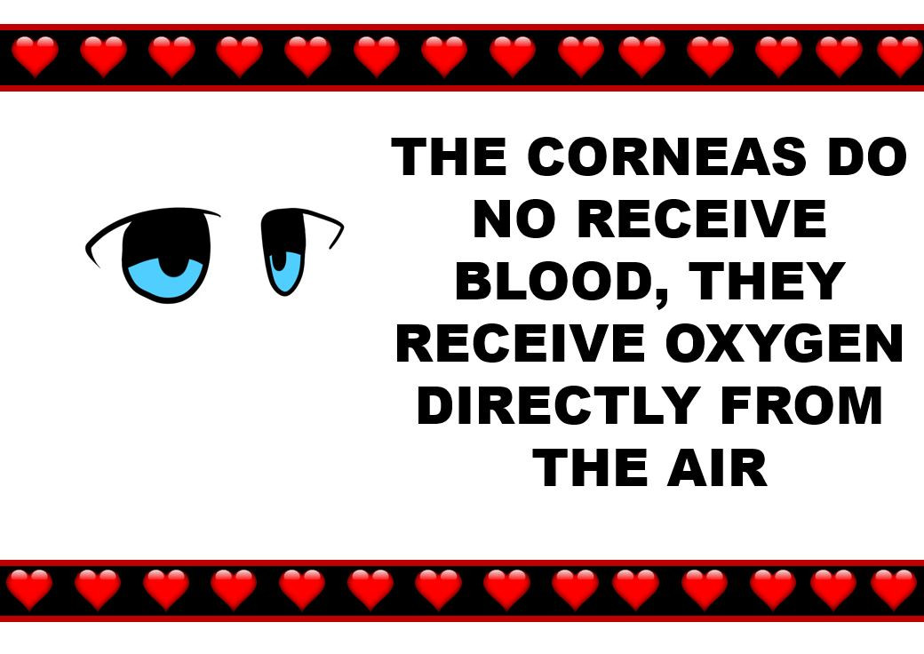 FACT or CRAP- Cardiovascular System Edition (PowerPoint Game) - Amped ...