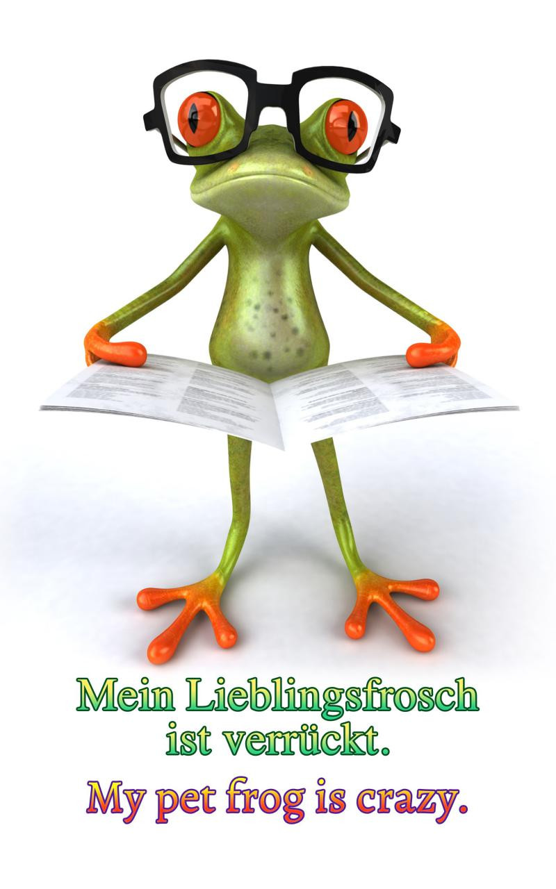 Mein Verrückter Lieblingsfrosch: Special Bilingual Edition (German and ...