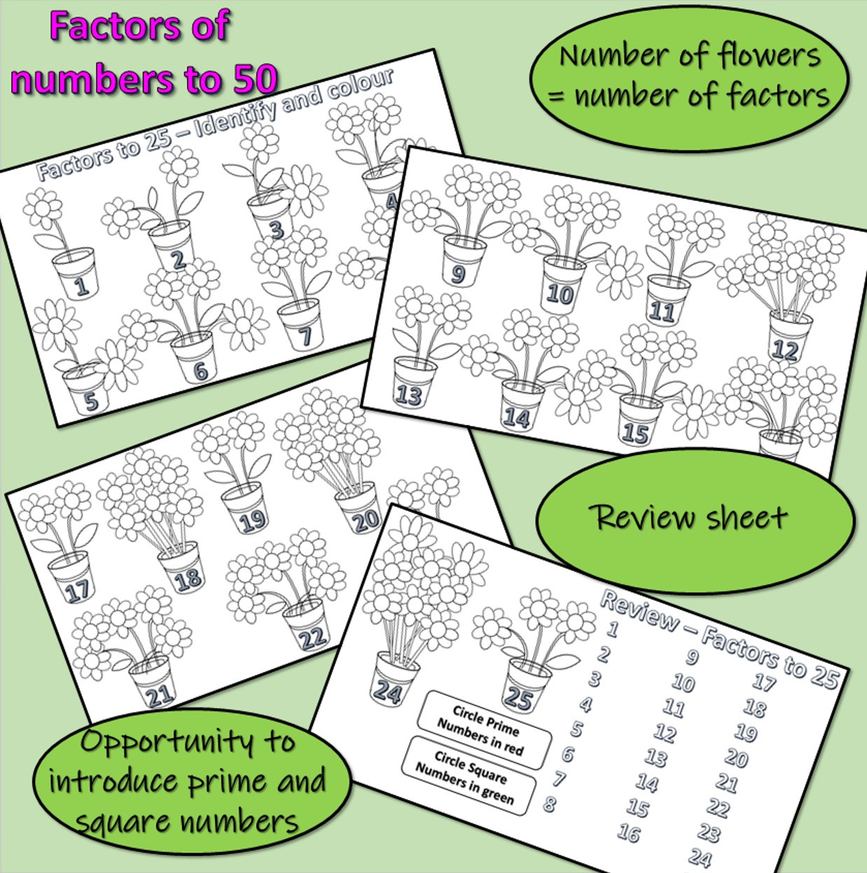 Factors of Numbers 1 - 50 including prime and square numbers (Draw ...