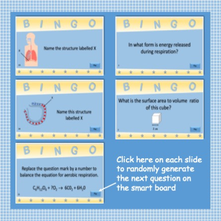 Respiration - Smart Board Bingo - Amped Up Learning