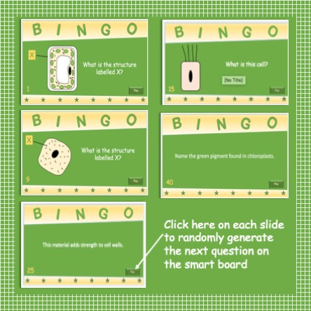 Plant and Animal Cells - Games Compendium - Bundle - Amped Up Learning