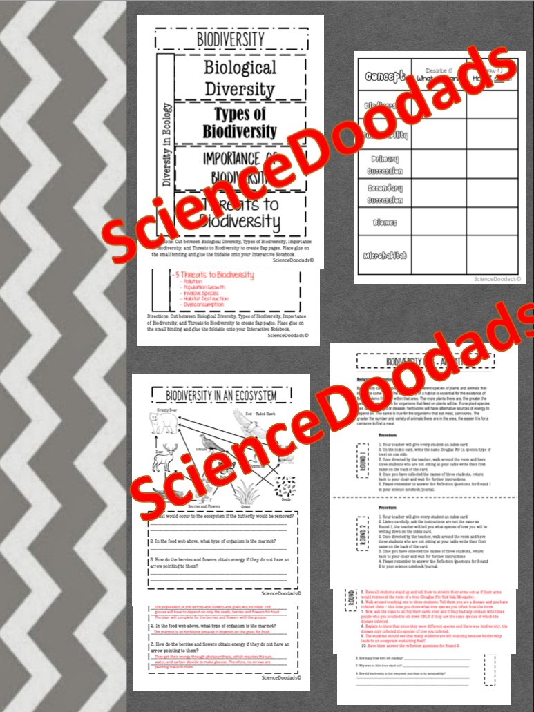 Biodiversity - Bundle - Amped Up Learning