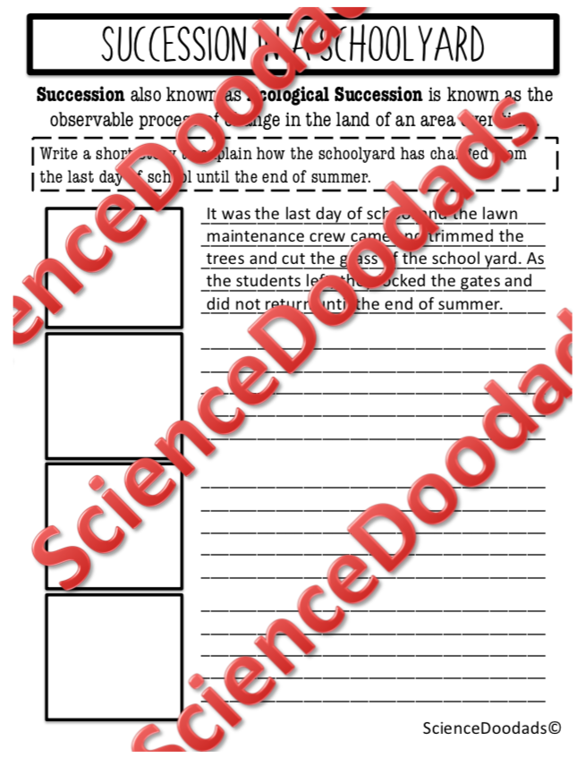 Ecological Succession - Bundle - Amped Up Learning