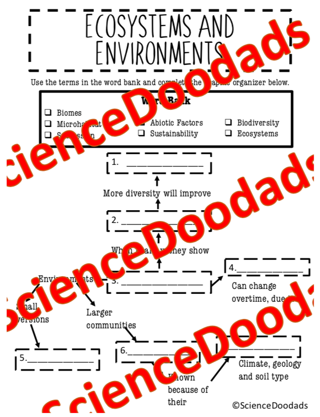 Ecological Succession - Bundle - Amped Up Learning