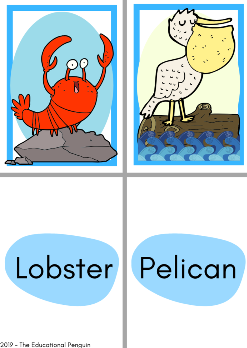 Flash Cards: Sea Animals - Amped Up Learning
