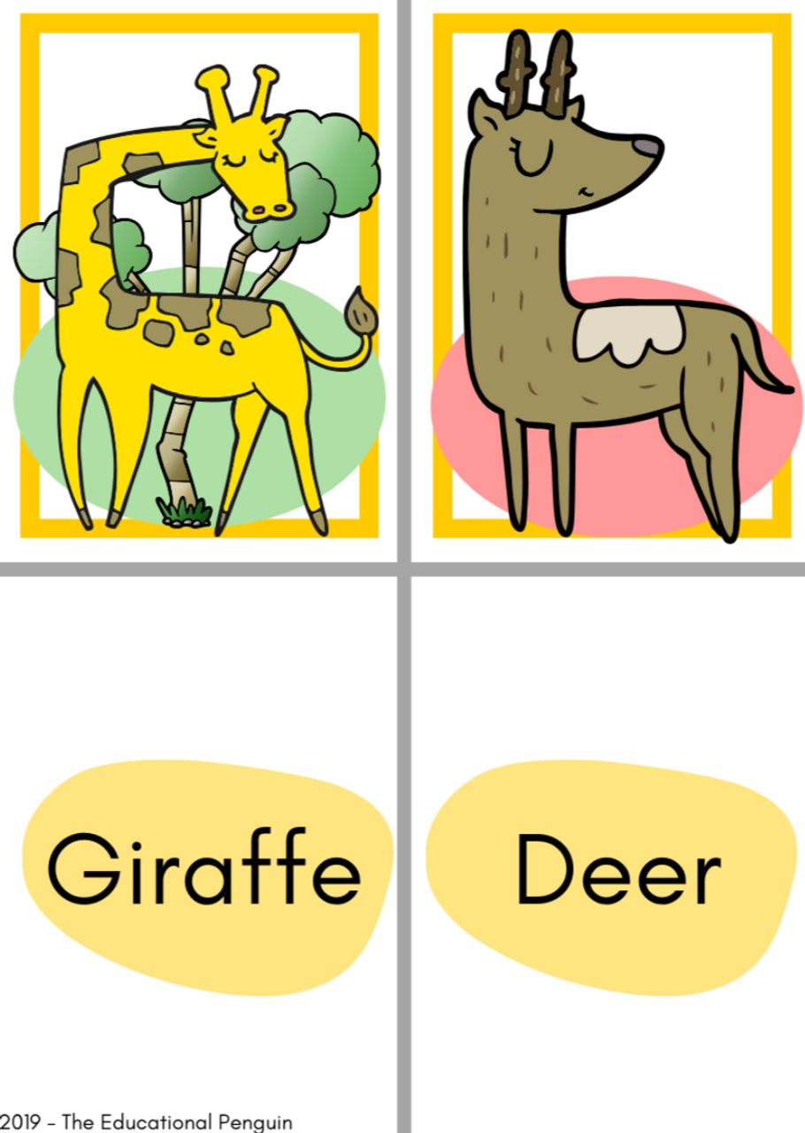 Flash Cards: Land Animals - Amped Up Learning