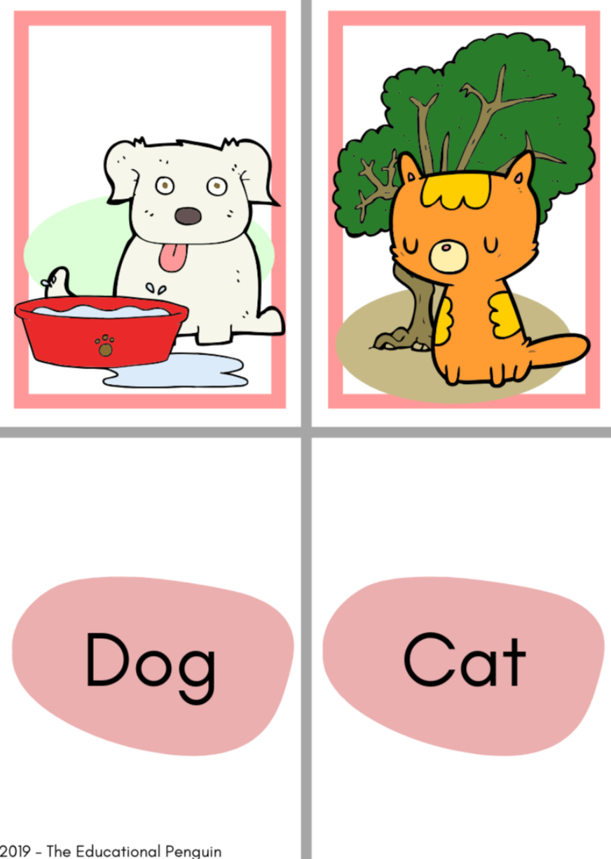 Flash Cards: Land Animals - Amped Up Learning