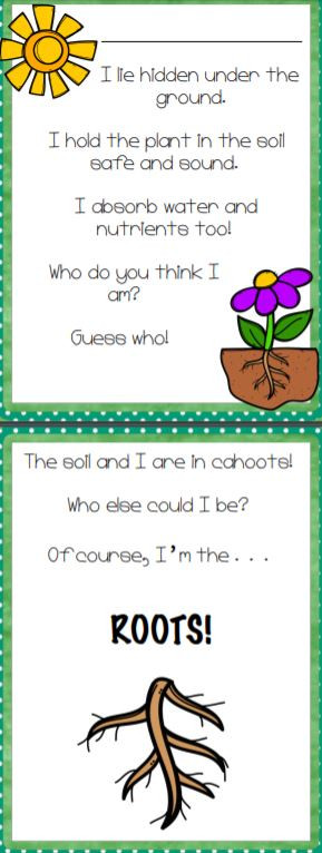 Integrated Plant Parts Poetry Activities - Amped Up Learning