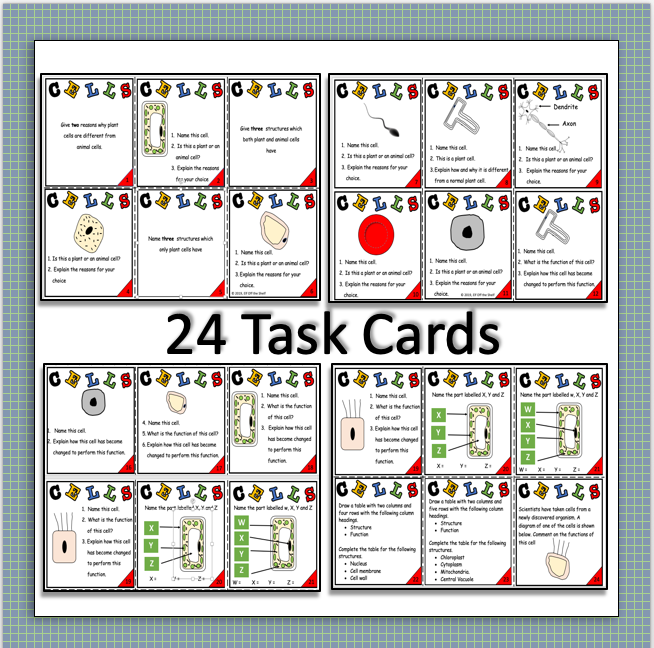 Plant and Animal Cells - Structure, Differences and Specialisation 24 ...