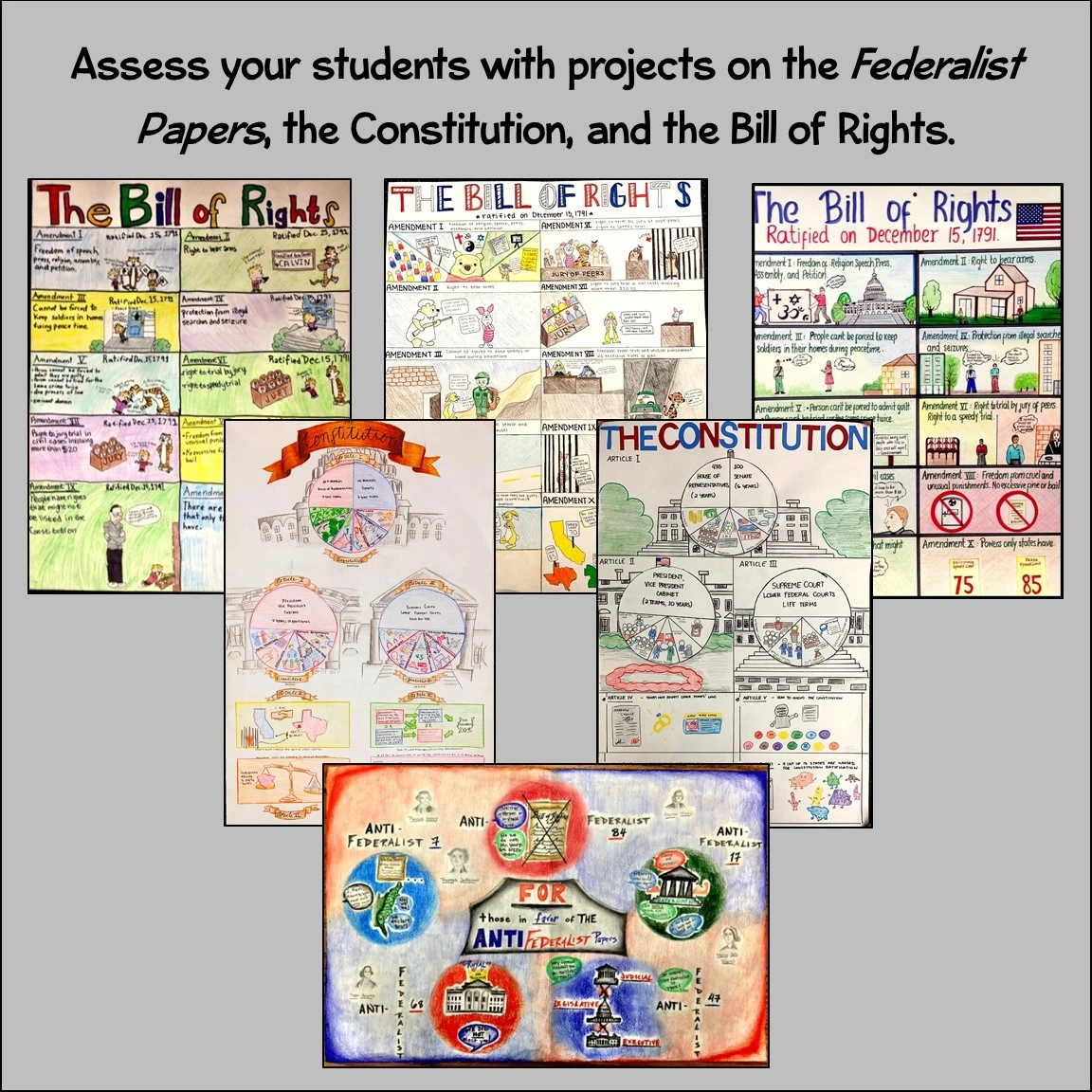 Bundled Unit: Everything You Need to Know About the Constitution ...