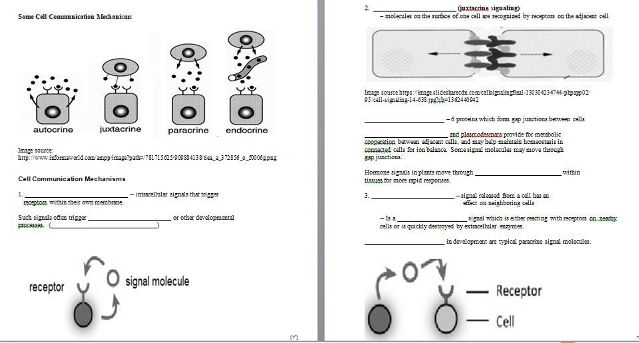 Cell Structure/Function/Communication Activities for AP Biology ...