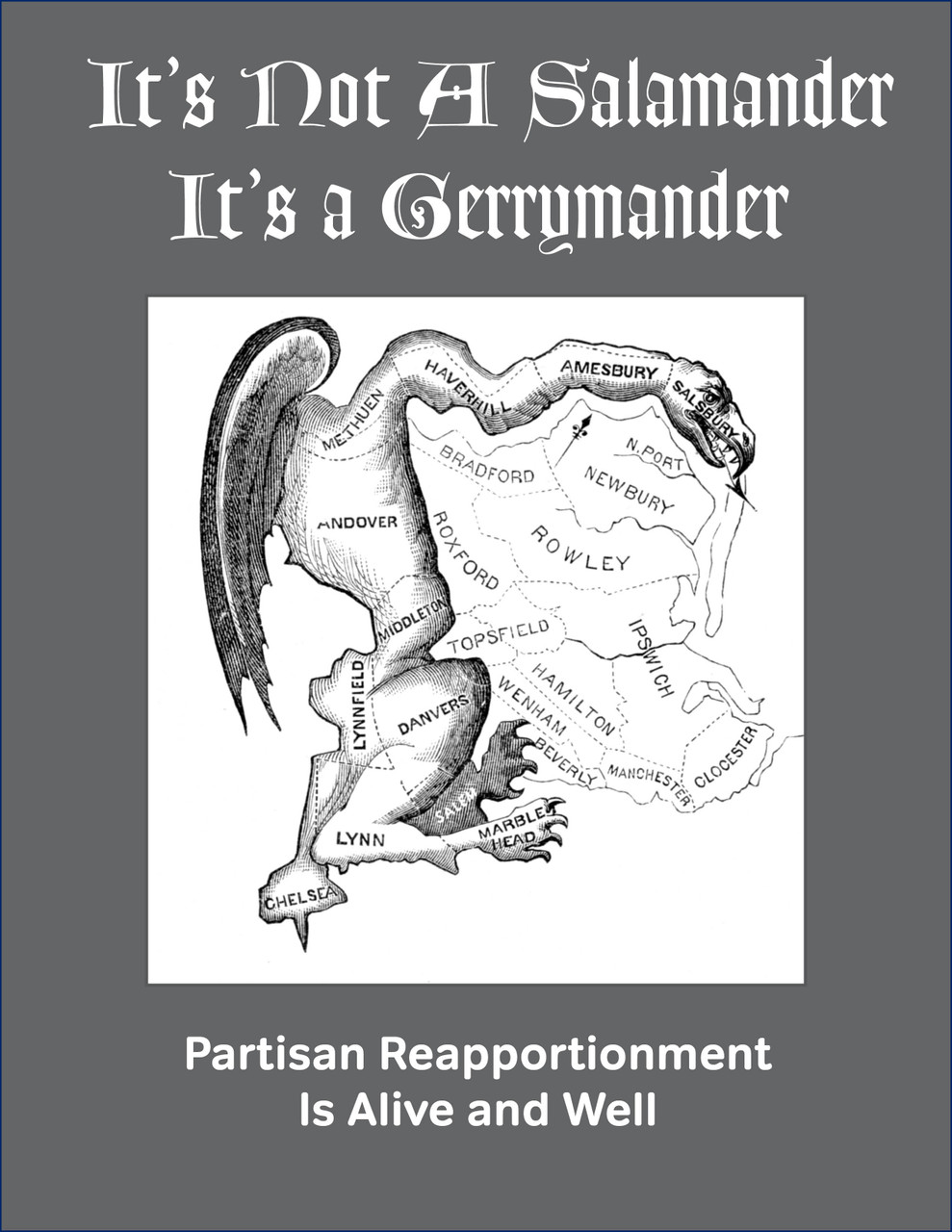 It's Not A Salamander, It's a Gerrymander - Amped Up Learning
