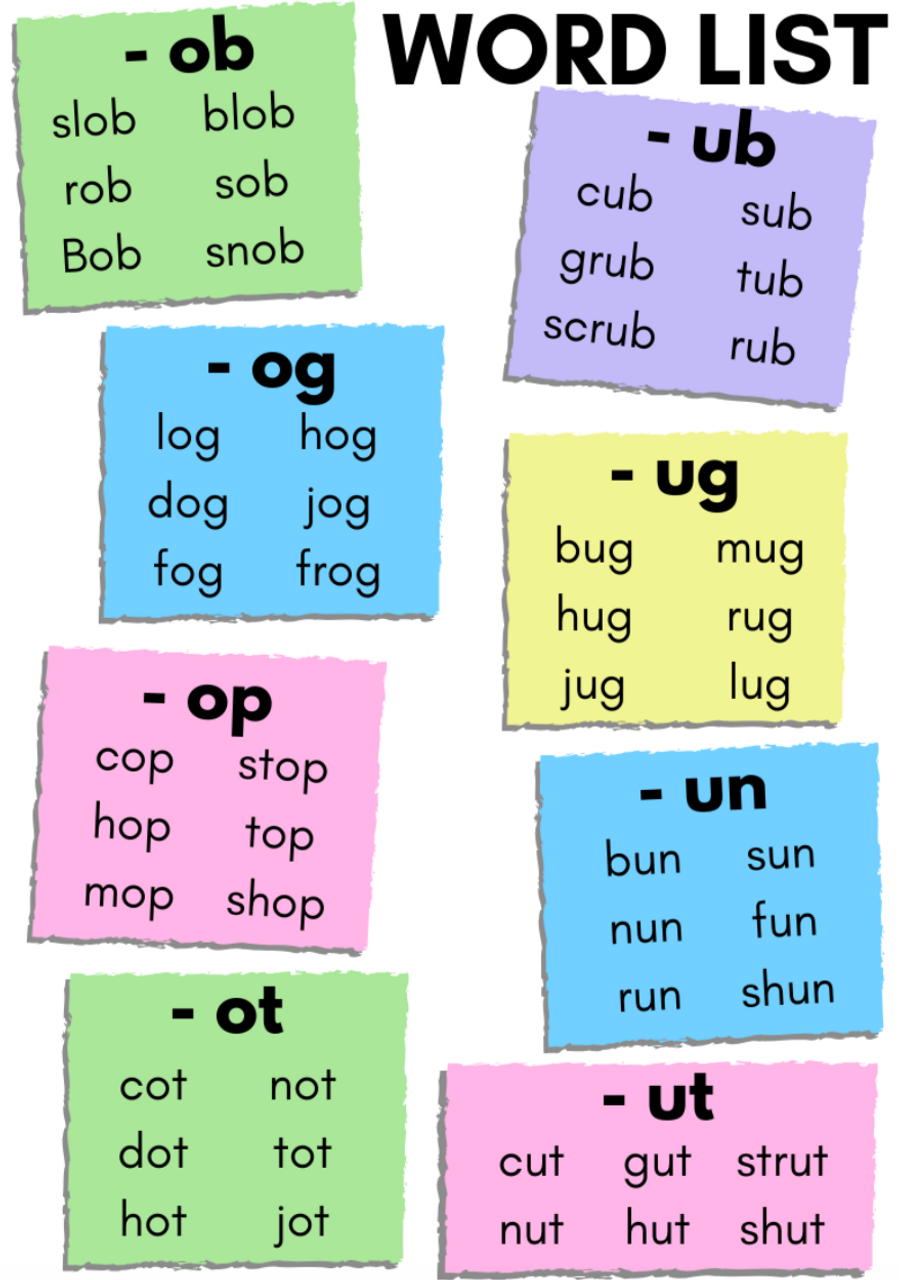 Flash Cards: CVC Word Family 'o' and 'u' - Amped Up Learning