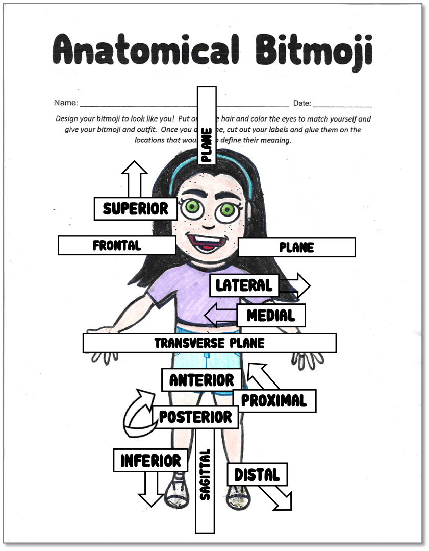 Anatomical Bitmoji- Fun Project for Learning Body Planes and ...