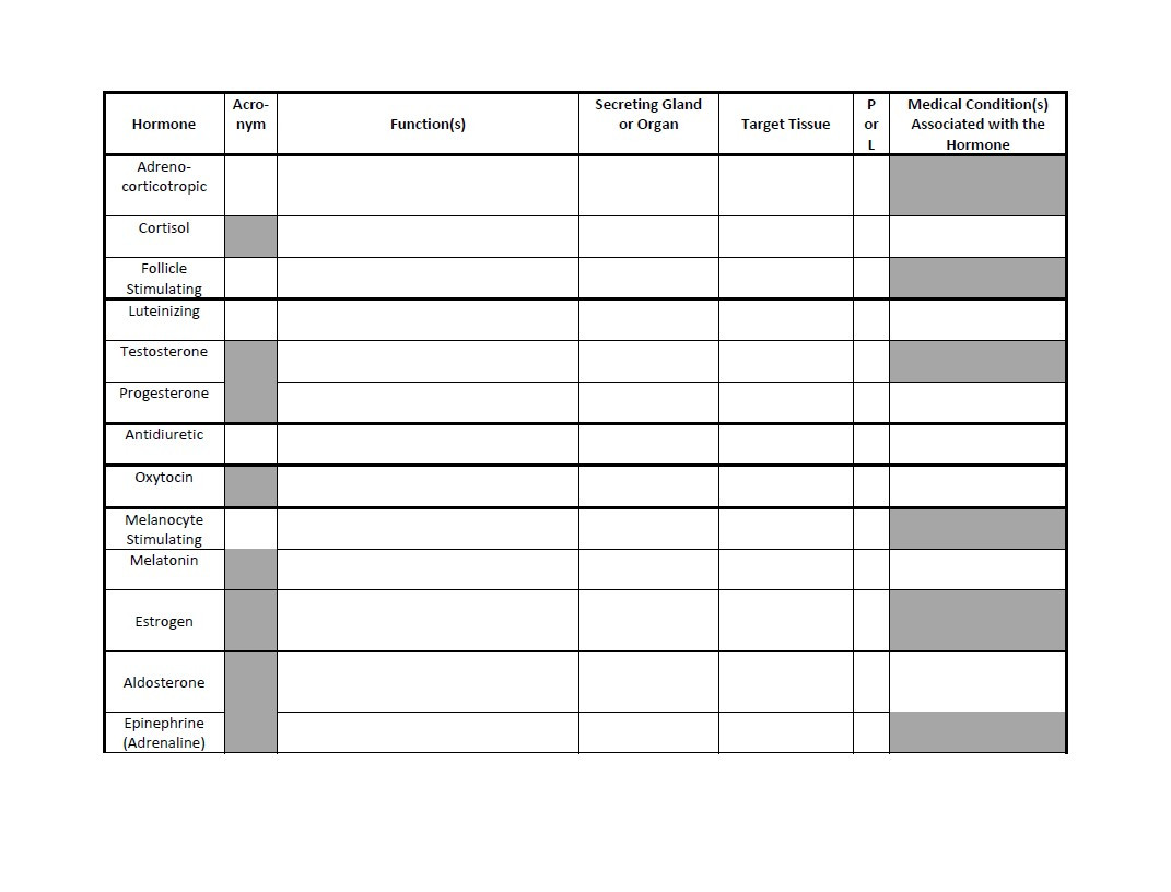 Hormone Summary Table Set - Amped Up Learning