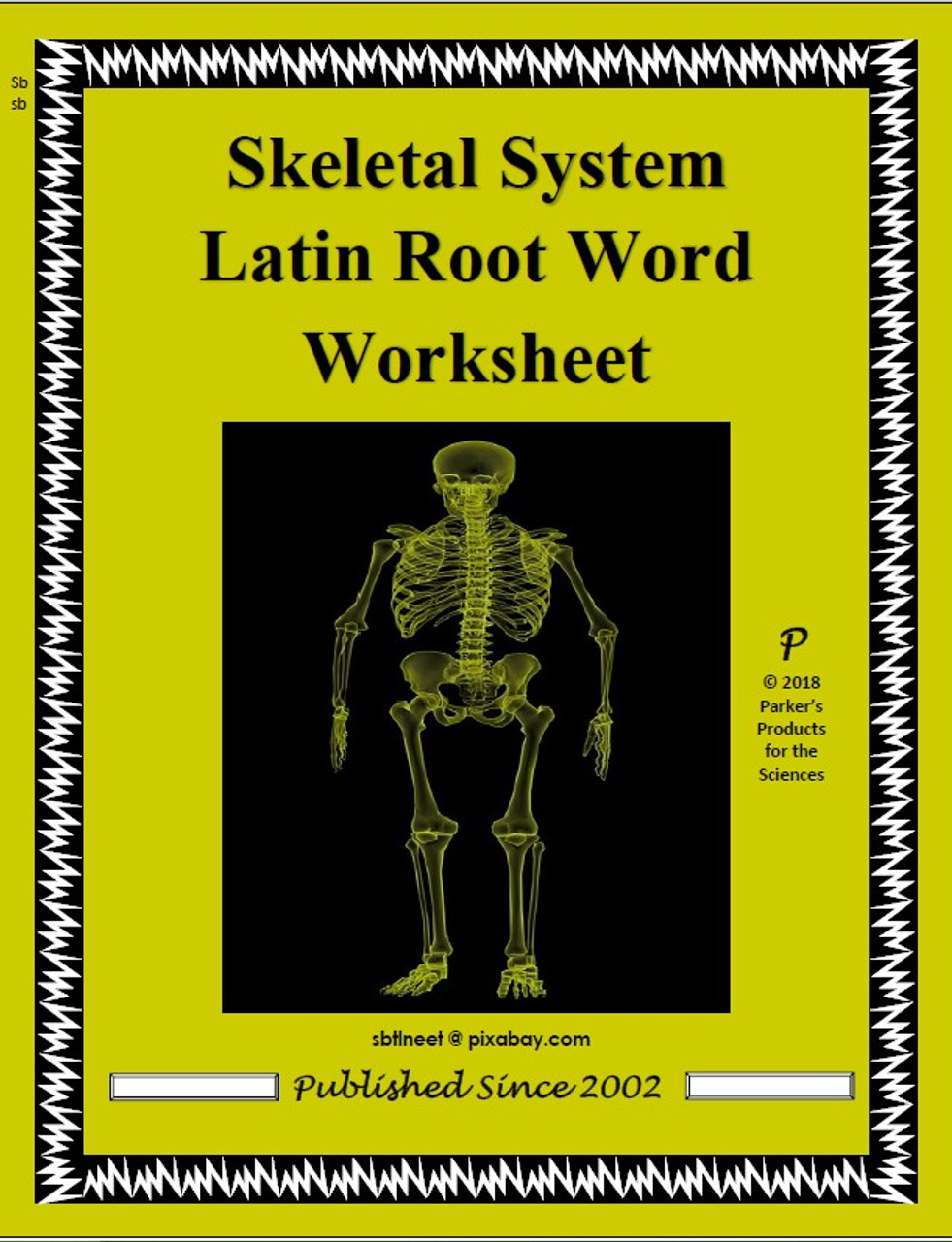 Skeletal System Latin Root Word Worksheet - Amped Up Learning
