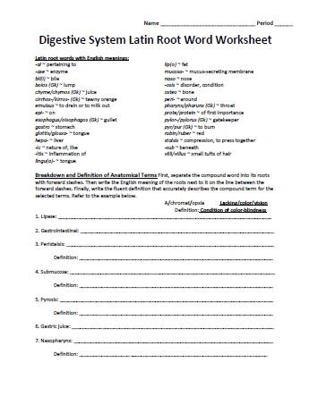 Digestive System Unit Latin Root Word Worksheet - Amped Up Learning