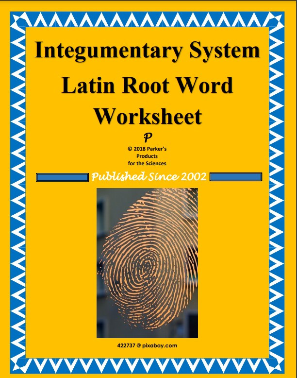 Integumentary System Latin Root Word Worksheet - Amped Up Learning