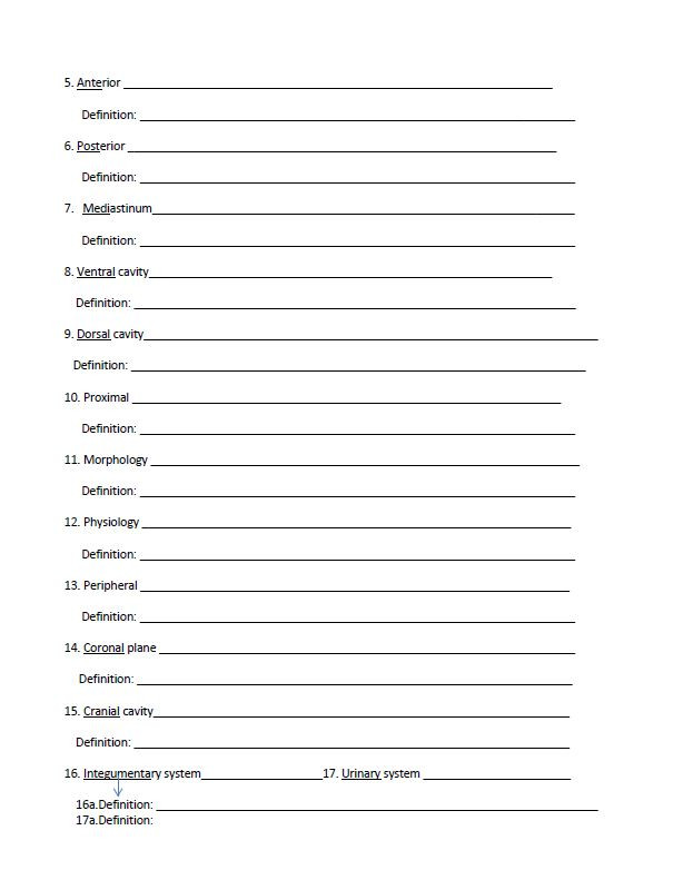 Latin Root Word Worksheet Set for Unit One Human Anatomy & Physiology ...