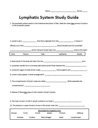 Lymphatic System Latin Root Word Worksheet and Study Guide Set - Amped ...