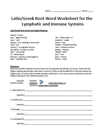 Lymphatic System Latin Root Word Worksheet and Study Guide Set - Amped ...