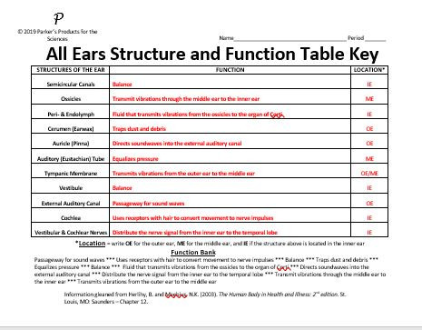 "All Ears" Structure and Function Table - Amped Up Learning