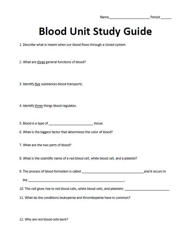Blood Unit Study Guide - Amped Up Learning