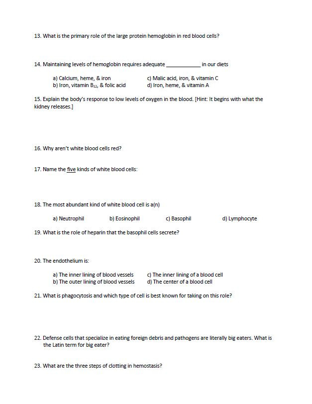 Blood Unit Study Guide - Amped Up Learning