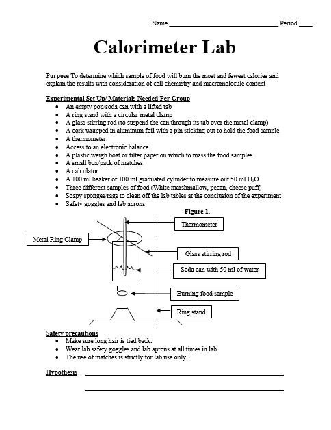 Calorimeter Lab for General Science - Amped Up Learning
