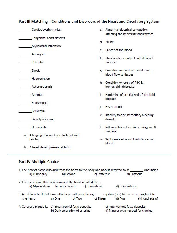 Cardiovascular System Unit Exam - Amped Up Learning