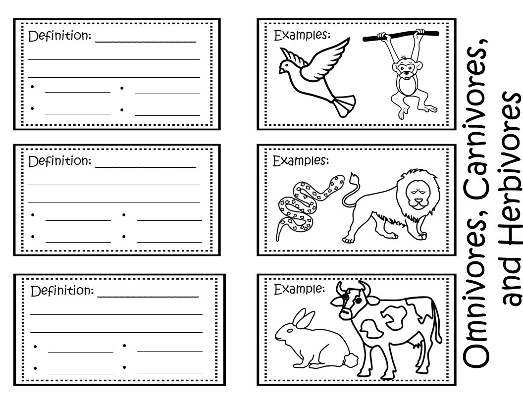 Consumers (Omnivores, Carnivores, and Herbivores) - Interactive ...