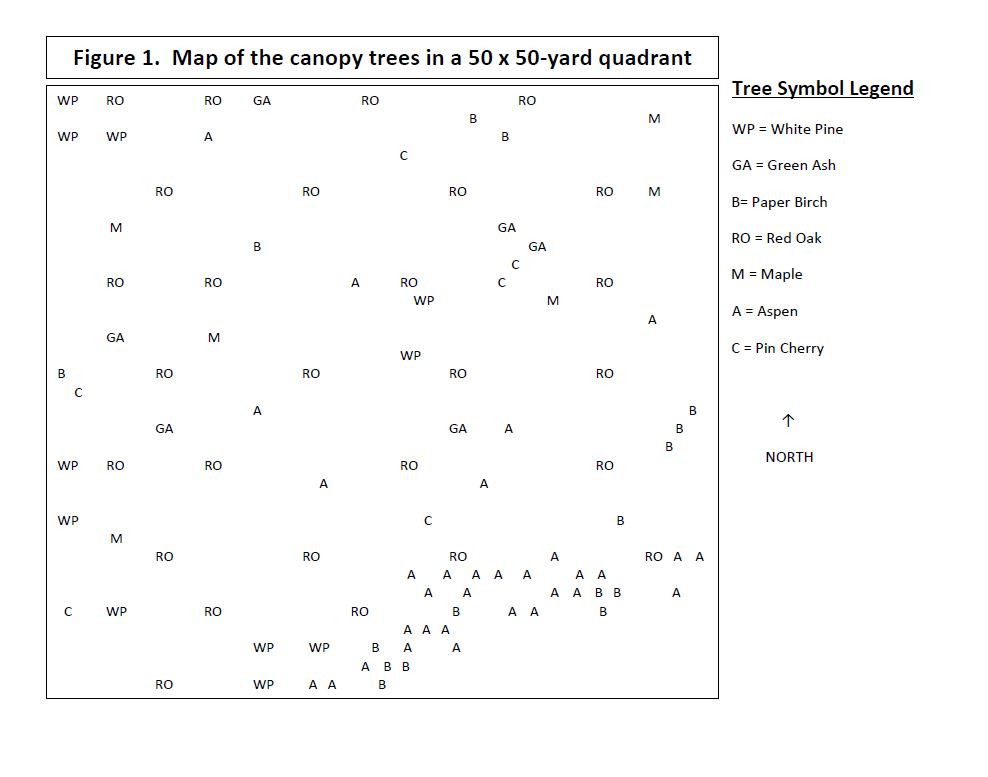 Forest Map Analysis Activity - Amped Up Learning