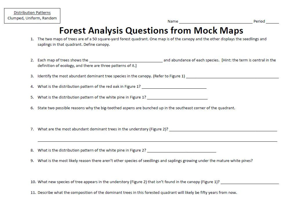 Forest Map Analysis Activity - Amped Up Learning