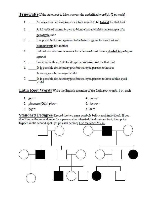 Genetics Unit Exam - Amped Up Learning