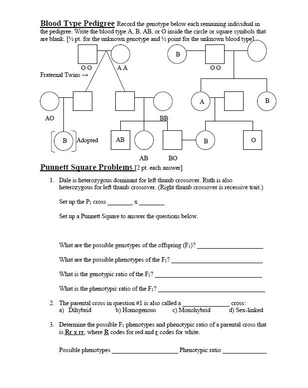 Genetics Unit Exam - Amped Up Learning