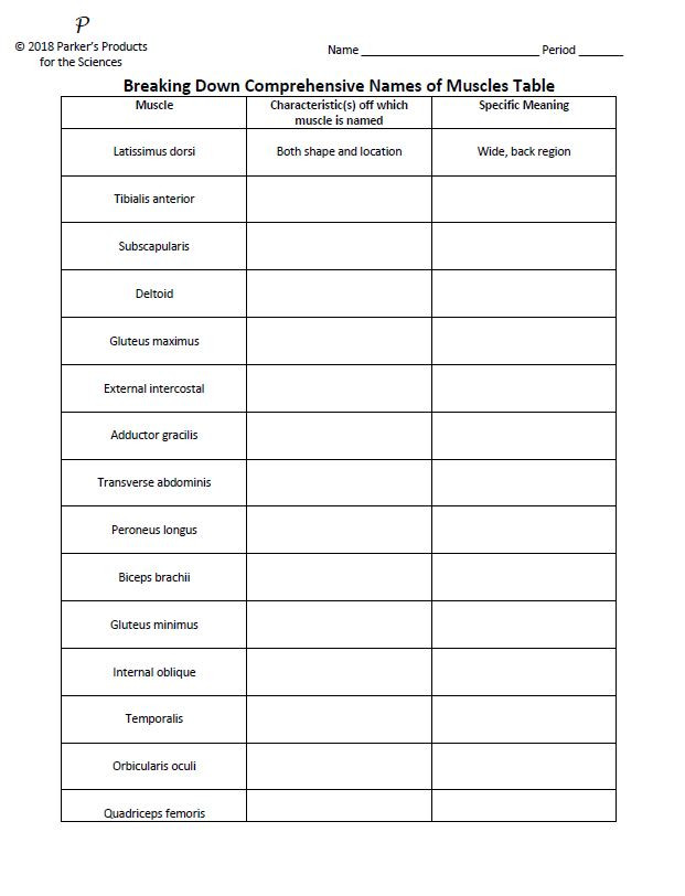 Muscle Naming Worksheet and Table Set - Amped Up Learning
