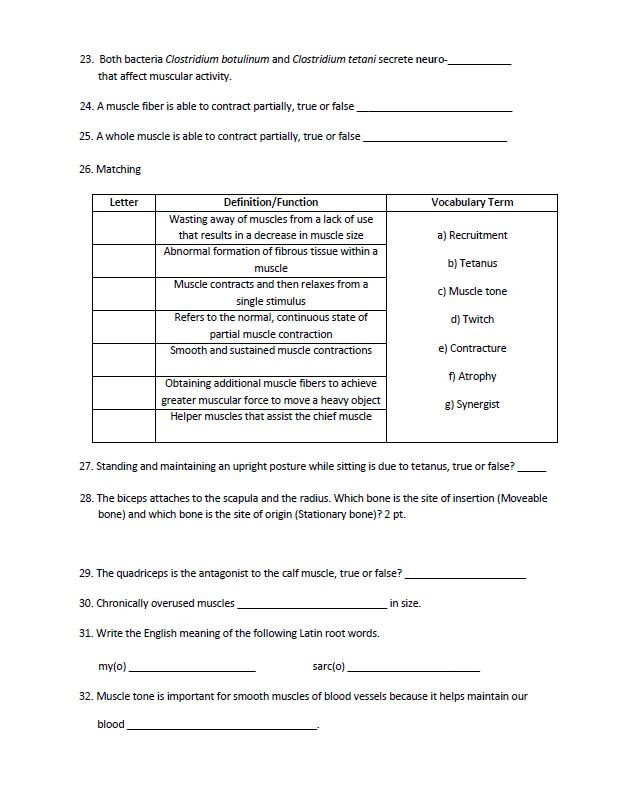 Muscular System Exam - Amped Up Learning