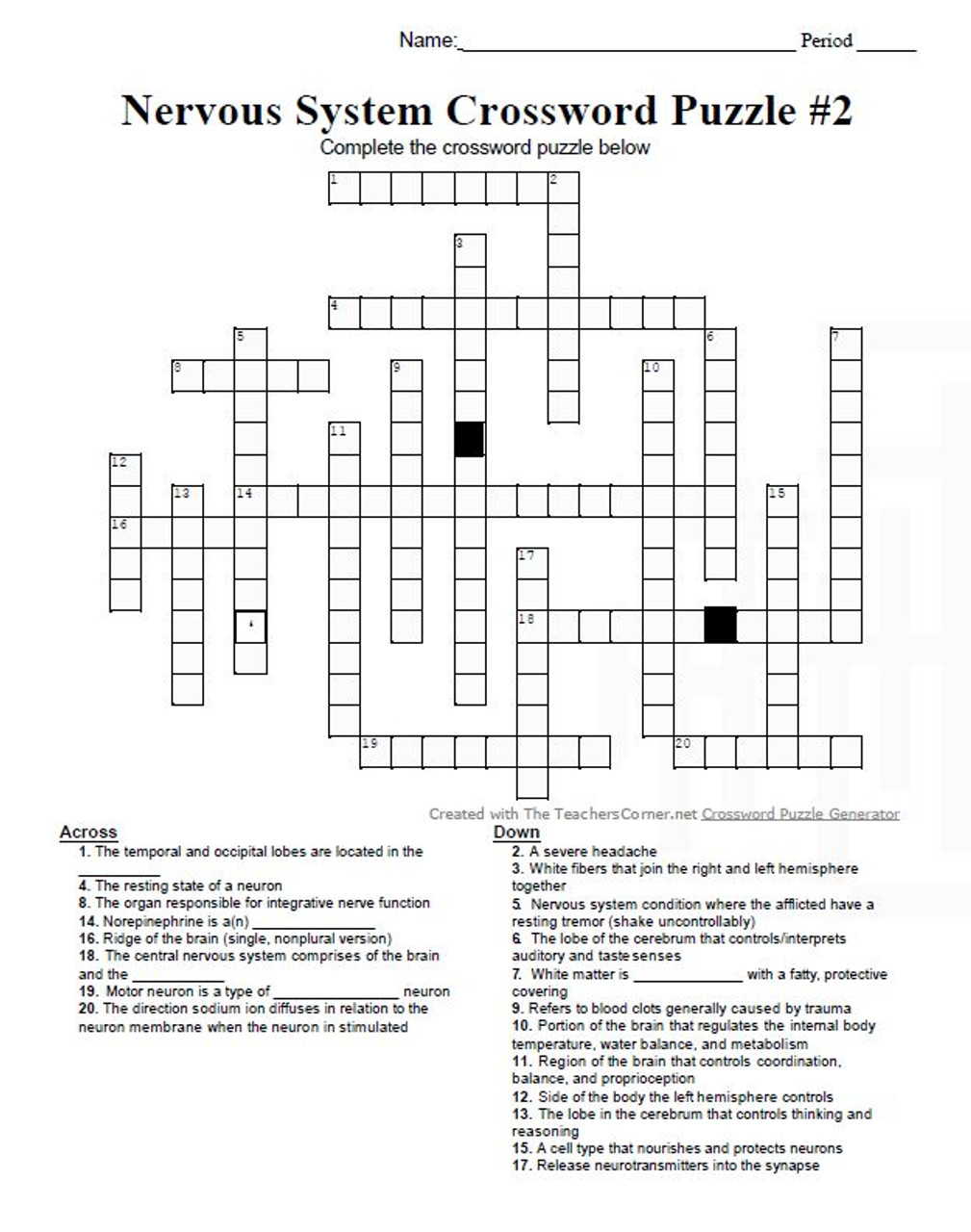 Nervous System Crossword Puzzle Set #2 - Amped Up Learning