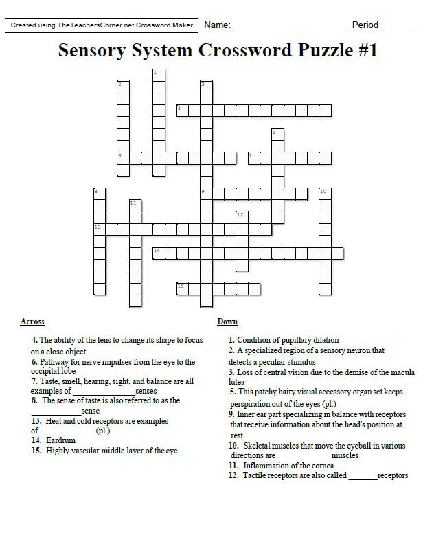 Sensory System Crossword Puzzle Bundle - Four Total! - Amped Up Learning