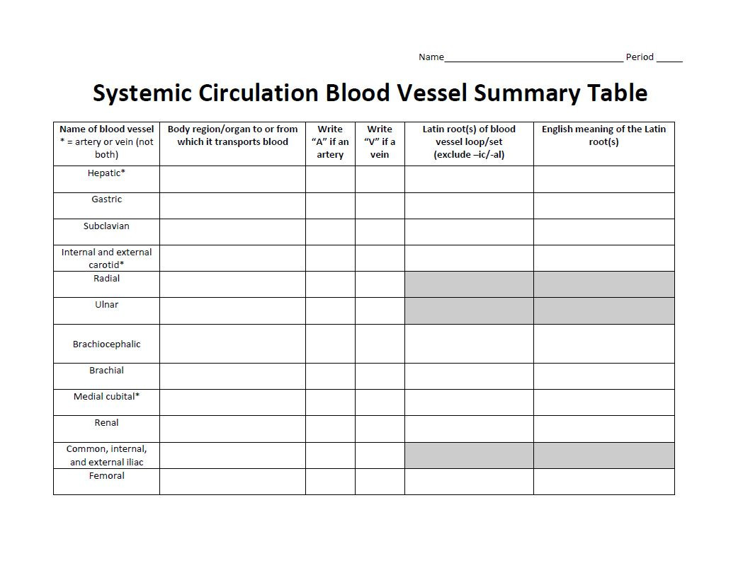 Systemic Blood Vessel Summary Table - Amped Up Learning