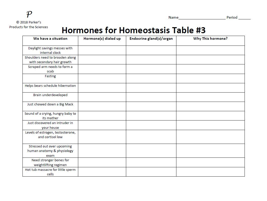 Hormones for Homeostasis Table Activity Bundle - Amped Up Learning