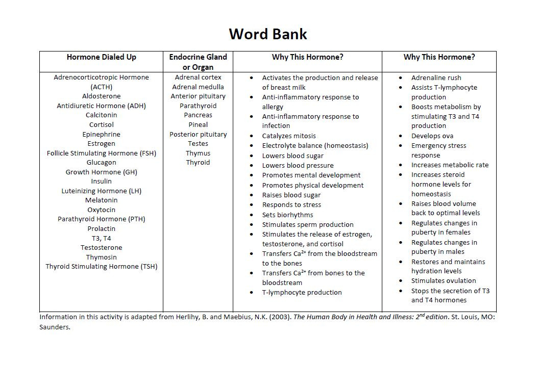 Hormones for Homeostasis Table Activity Bundle - Amped Up Learning
