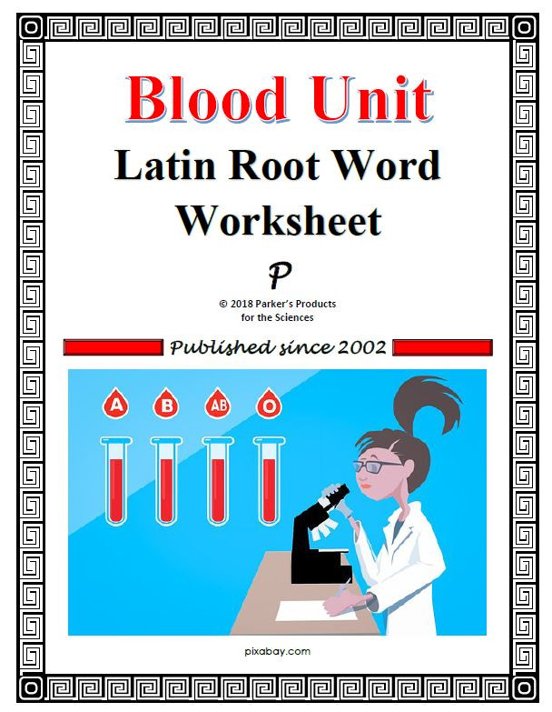 Latin Root Word Conversion Worksheet Bundle of Medical Terms for Human ...