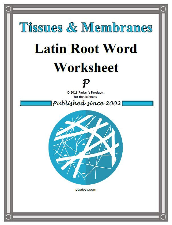 Latin Root Word Conversion Worksheet Bundle of Medical Terms for Human ...