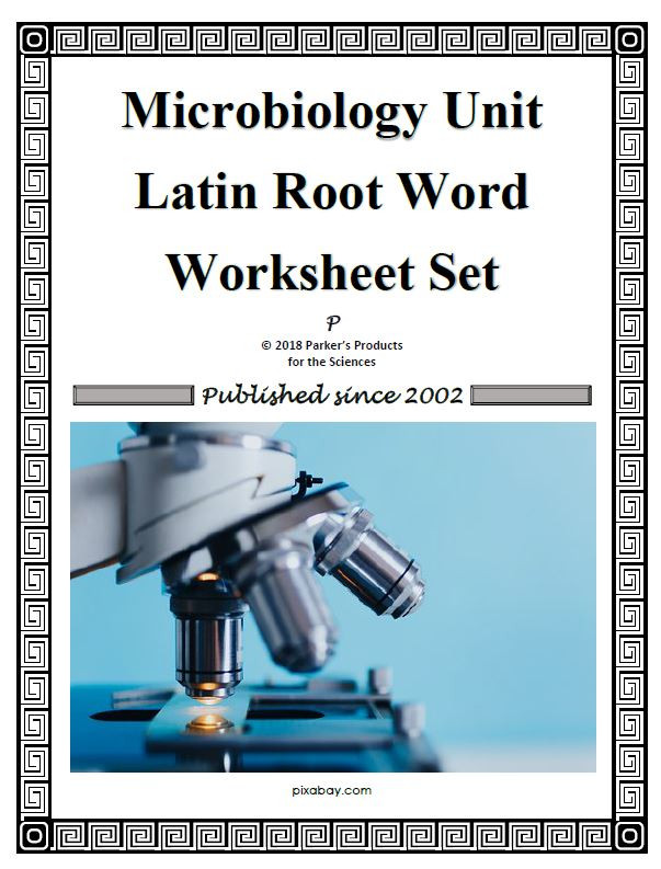 Latin Root Word Conversion Worksheet Bundle of Medical Terms for Human ...